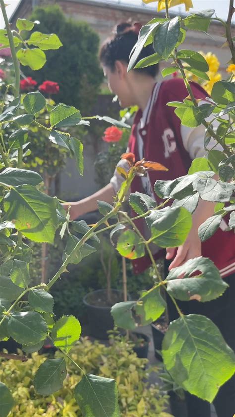 მწვანე ქალაქი • Green City Tbilisi