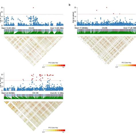 local manhattan plot top panel and ld heatmap bottom panel of the download scientific