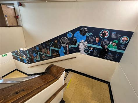 timeline wall graphics inspired visual