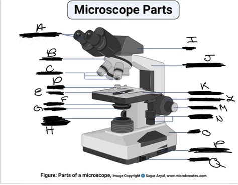 Lab 2 Exam Flashcards Quizlet