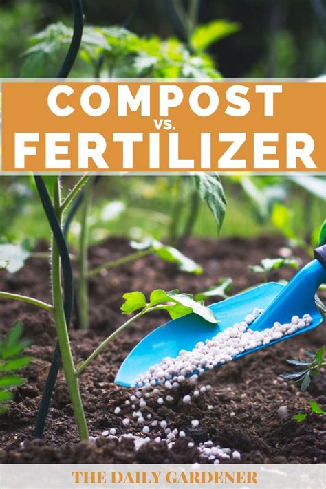Compost Vs Fertilizer Whats The Difference Can Use A Combination