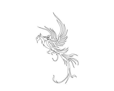 Premium Vector Continuous One Line Drawing Of Phoenix Bird