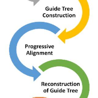 Multiple Sequence Alignment Process By Mafft V Multiple Sequence