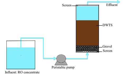 Schematic Of The Continuous Flow Column Testing System Download Scientific Diagram