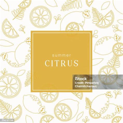 금색으로 된 정사각형 텍스트가 있는 최소한의 선 그리기 표지 템플릿입니다 열 대 감귤류 레몬 과일과 나뭇잎 벡터 일러스트 레이 션 소셜 미디어 포장 포스터 카드 태그 초대장