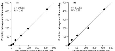 Relationship Between Observed And Predicted Belowground Biomass A