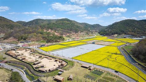 화순으로 봄소풍 가자 화순글로벌뉴스