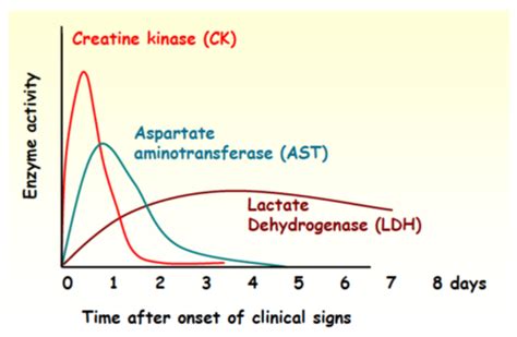 Biochemistry Enzymes And Bilirubin Flashcards Quizlet