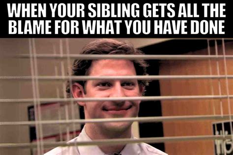 50 Hilarious Sibling Memes From Fights To Fun