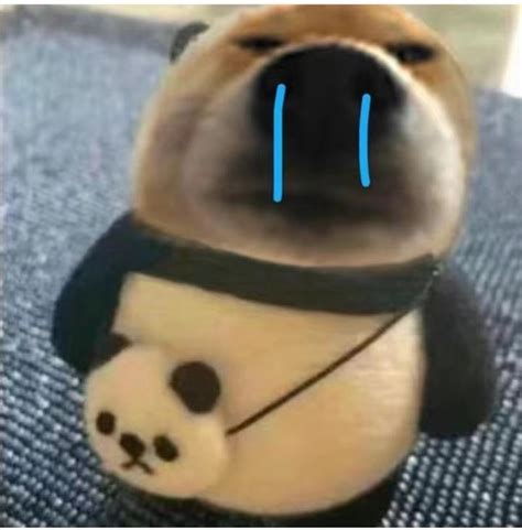 救命啊，网恋奔现是被诅咒了吗？！！ 知乎