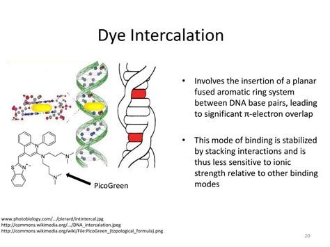 Ppt Novel Methods For The Detection Of Nucleic Acid Sequences Powerpoint Presentation Id4366549