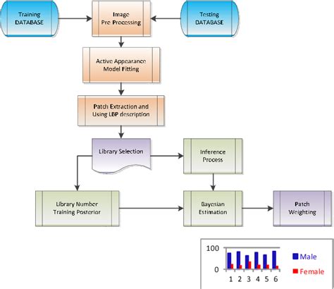 Figure 1 From Gender Classification Using Bayesian Classifier With Local Binary Patch Features