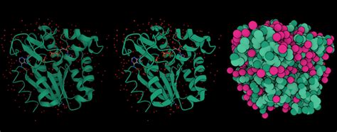 Mol Updated At Pdbe And Pdbe Kb Download Superposed Coordinates View Uniprot Numbering And