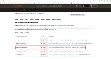 Linux下安装jdk 少年阿川 博客园