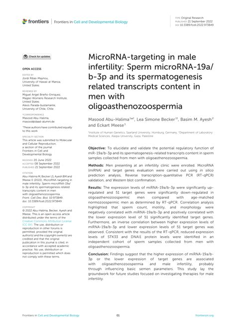 Pdf Microrna Targeting In Male Infertility Sperm Microrna 19a B 3p And Its Spermatogenesis