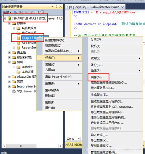 sql server 主从数据库镜像 见证服务器 sql server镜像服务器还能加从库吗 csdn博客