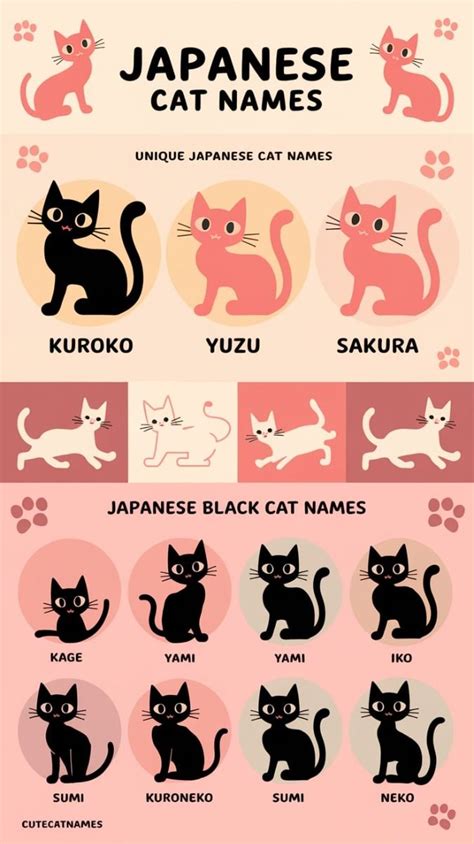100 Japanese Cat Names With Meanings Japanese Cat Words Japanese