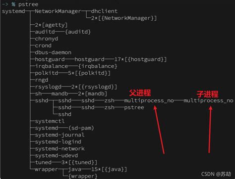 操作系统实验（一）——进程编程相关实验操作系统实验31进程的创建实验代码 Csdn博客