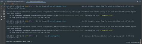 ioexception the server sockets created using the
