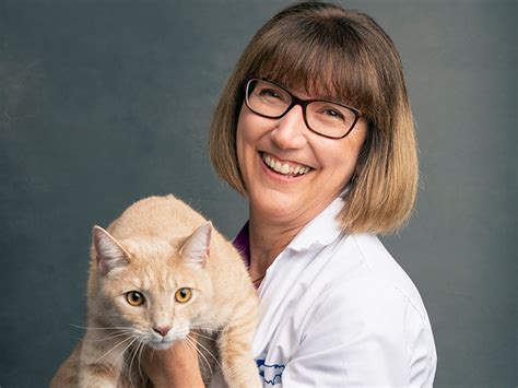 Dr Lori Pickell Vca Tlc Pasadena Veterinary Specialty And Emergency