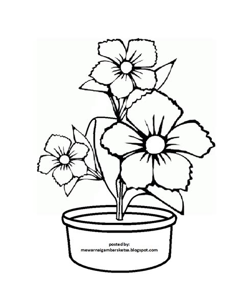 Download Gambar Sketsa Bunga Dari Beragam Gambar Sketsa Bunga Lengkap