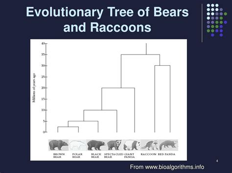 Ppt Phylogeny Reconstruction Powerpoint Presentation Free Download Id347231