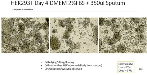 Cell Culture Isolation Control Experiment