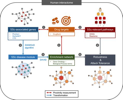 overview of the computational approach with network proximity data