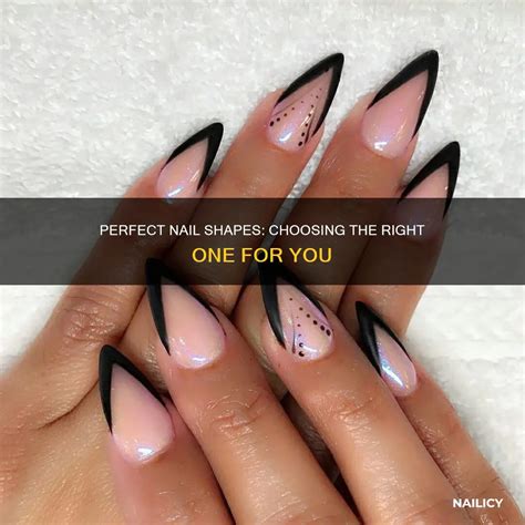 Perfect Nail Shapes Choosing The Right One For You Nailicy