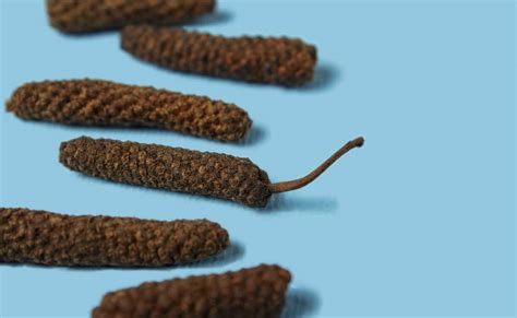 Nutritionist Explains Many Benefits Of Consuming Pippali