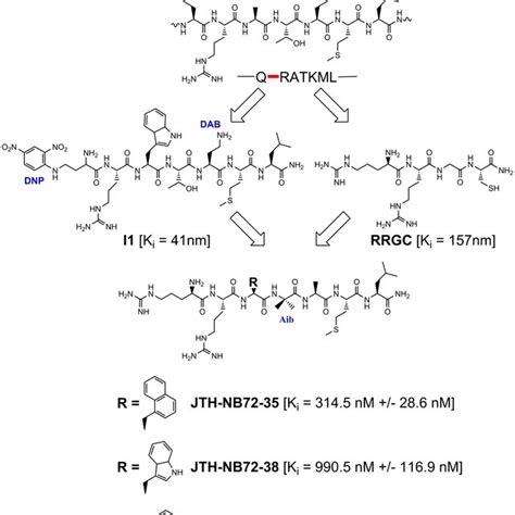 Plm Structures Ki Values And Design Strategy From Top To Bottom