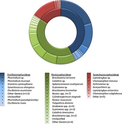 Relative Abundance Of Cyanobacterial Orders Inner Ring And Genera Download Scientific Diagram