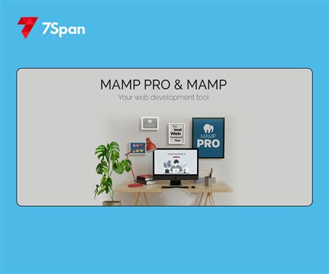 10 Local Wordpress Development Environments You Should Consider In 2024