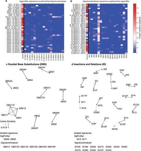 The Repertoire Of Mutational Signatures In Human Cancer Nature