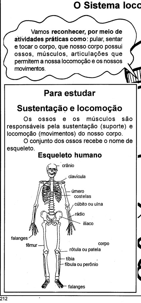Classe Dojo Lourdes Human Body Study Teaching School Memes Marisa Veronica