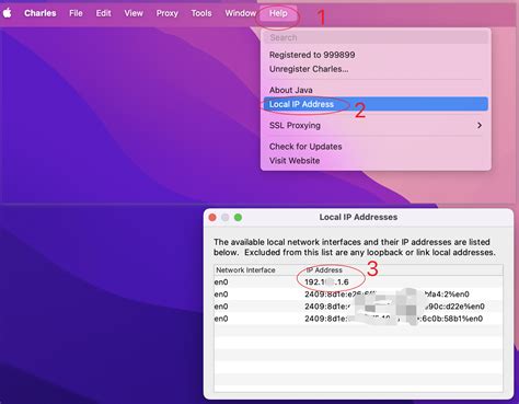 2025 Charles Proxy Mac版完整教程：从安装破解到远程抓包【图文详解】 Charles Proxy中文站