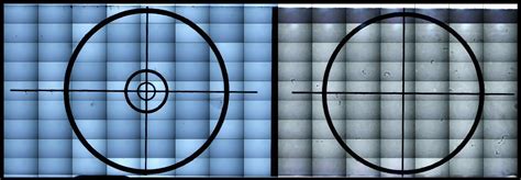 Bum400afl Automated Fluorescence Whole Slide Scanning Microscope