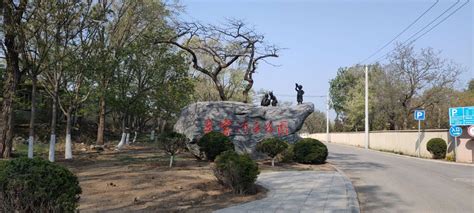 2023夏家河子海滨公园游玩攻略 重新修建变成了很美的海滨公 去哪儿攻略