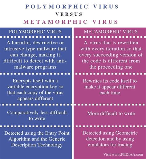 Difference Between Polymorphic And Metamorphic Virus Pediaa Com