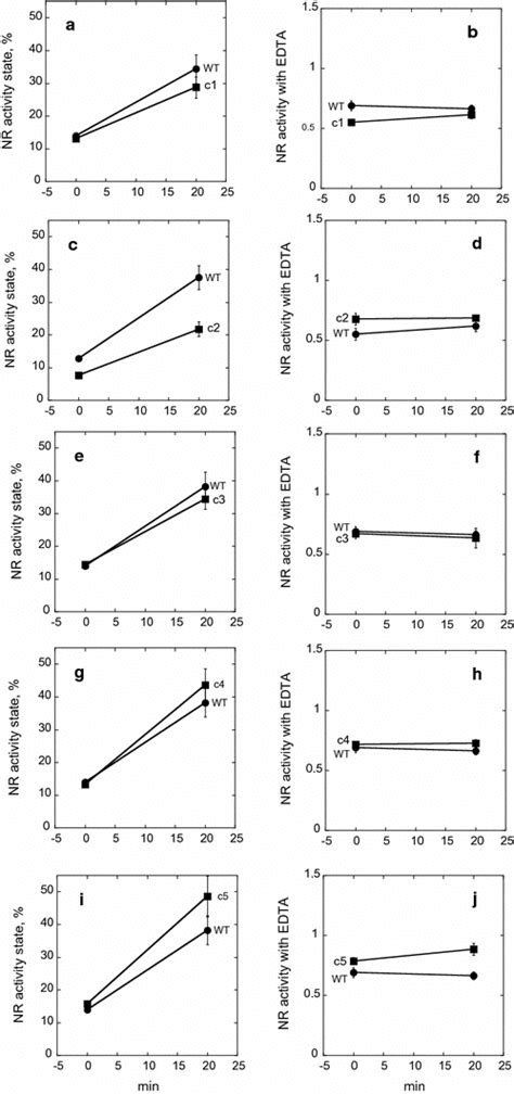 Nitrate Reductase Nr Activity State And Total Nr Activity In Wt And Download Scientific