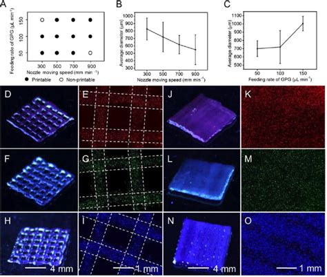 Extrusion Bioprinting Of Shear Thinning Gelatin Methacryloyl Bioinks Abstract Europe Pmc