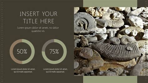 Fossil Templates PPT