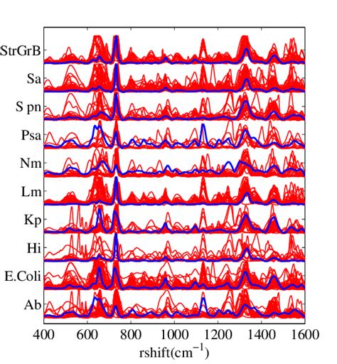 Sers Spectra Of Meningitis Bacterial Pathogen For Each Species Blue