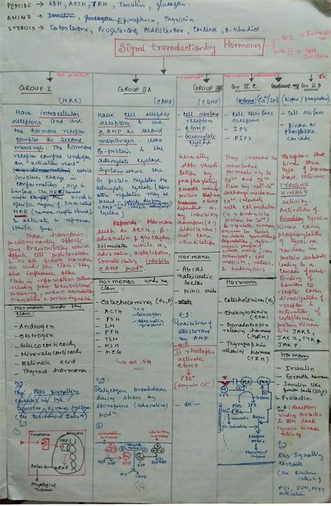 How To Make Revision Notes For Neet Handwritten Notes Neet Artofit