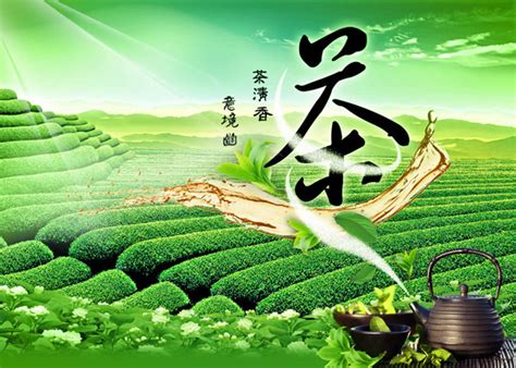 茶香茶文化PSD 素材中国sccnn