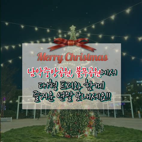 남악중앙공원 불무공원에서 대형트리와 함께 전라남도 무안군 웰로