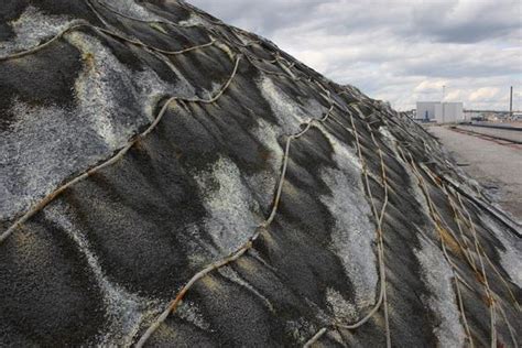 Microbial Miners Feature Chemistry World