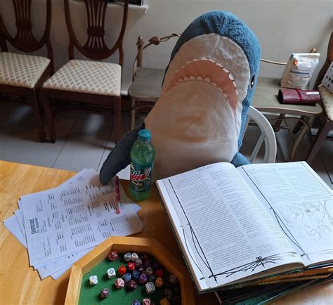 Rokea Is All Set For A Day Of Fun Roleplaying Games R Blahaj