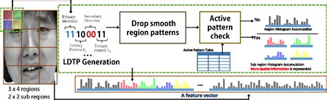 Figure 1 From Local Directional Ternary Pattern For Facial Expression