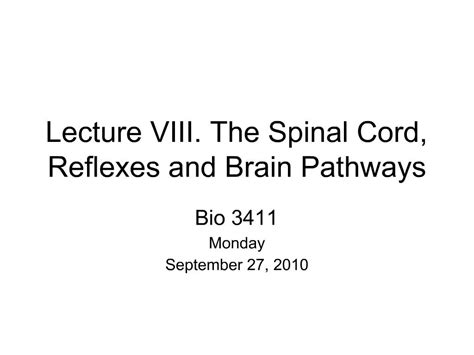 Ppt Lecture Viii The Spinal Cord Reflexes And Brain Pathways